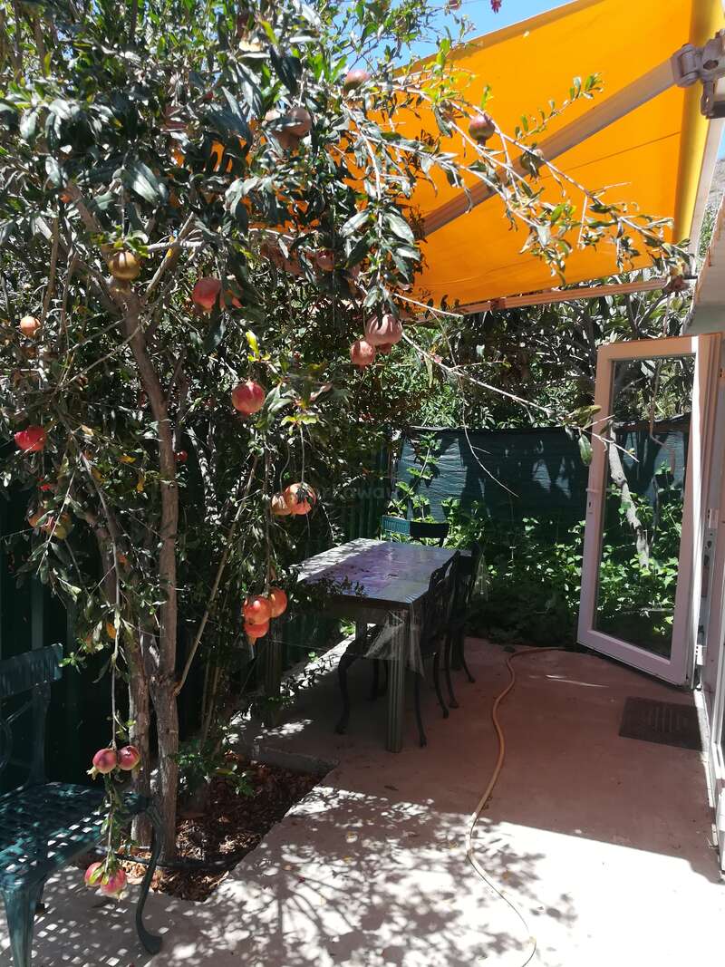 Help around an eco-finca, improve your language skills and get to know ...