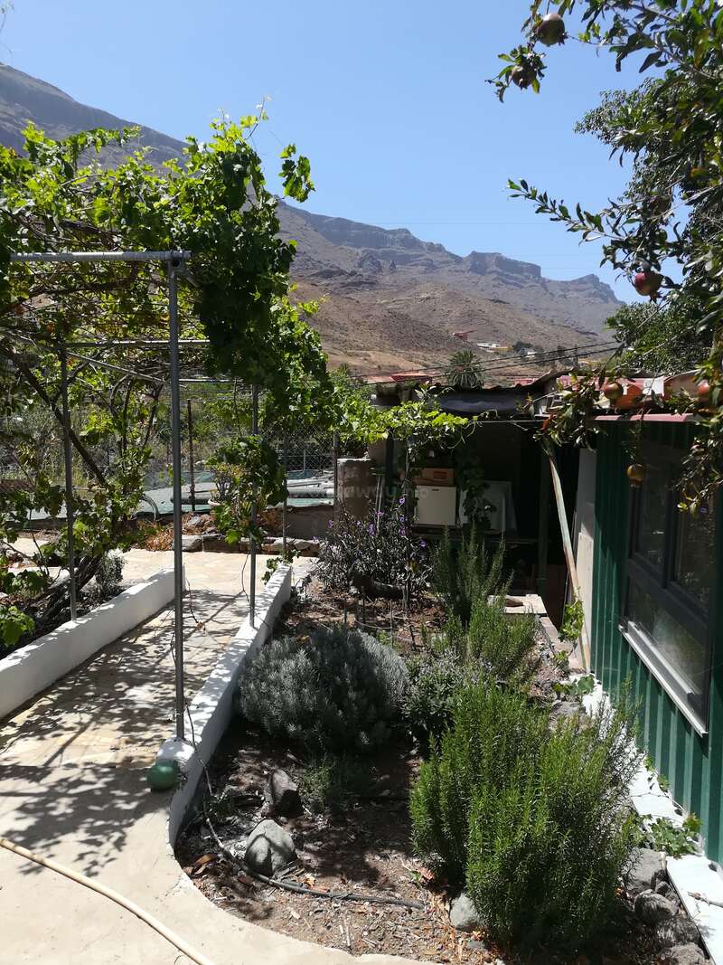 Help around an eco-finca, improve your language skills and get to know ...