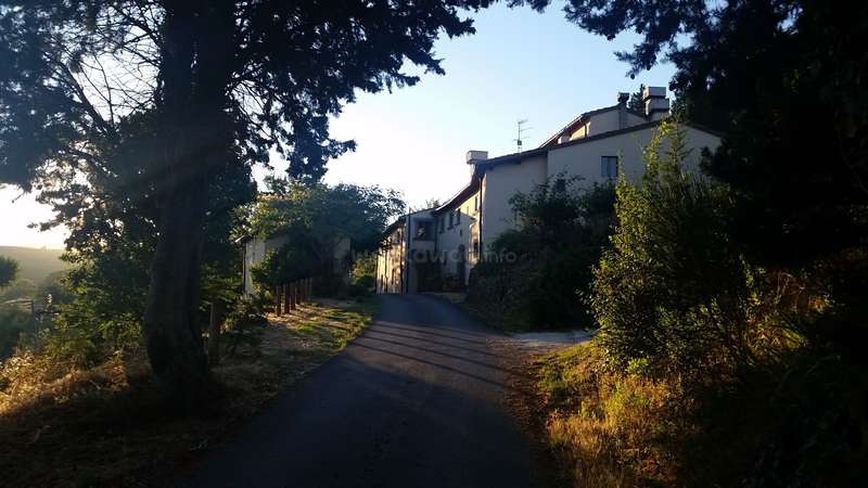 Spend time with us and experience the Tuscan countryside in Pelago, Italy