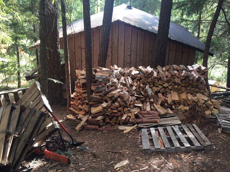 Off-grid forest homestead welcomes help with firewood and garden in ...