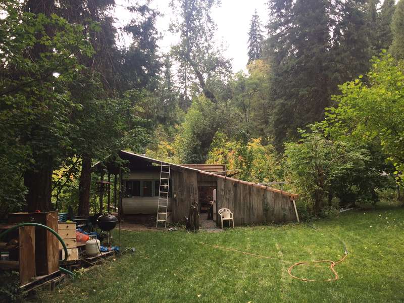 Off-grid forest homestead welcomes help with firewood and garden in ...