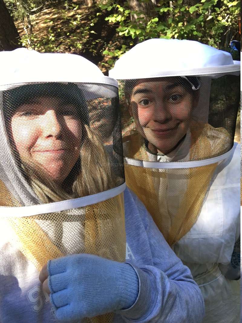 Off-grid forest homestead welcomes help with firewood and garden in ...