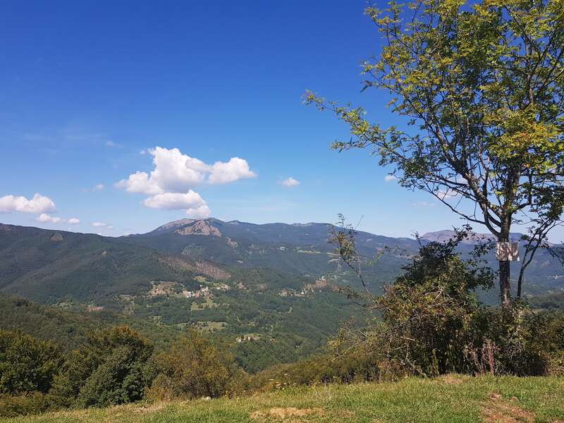 Enjoy endless walks reconnecting with nature on our farm in Bedonia, Italy