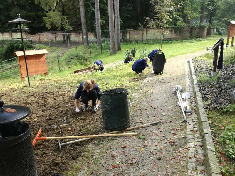 Long term volunteering in part of historical place in Głuchołazy, Poland