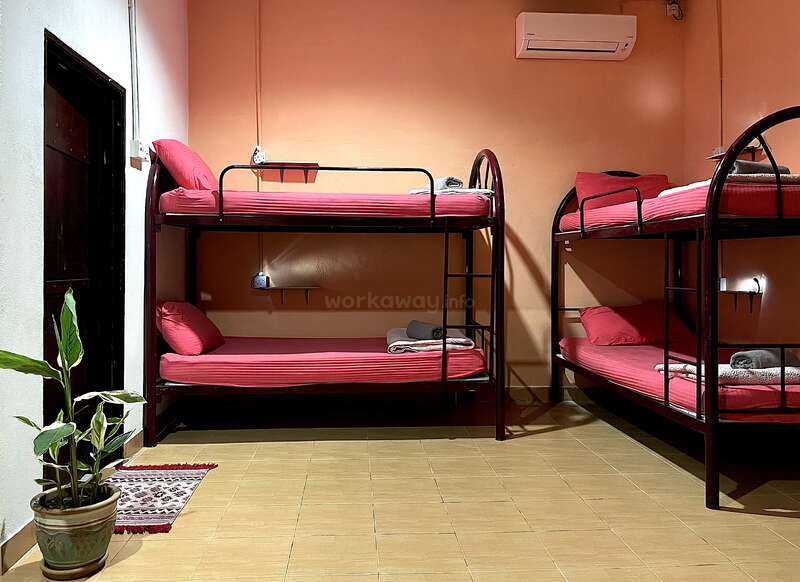 Volunteers welcome at our guesthouse beside the beach in Langkawi ...