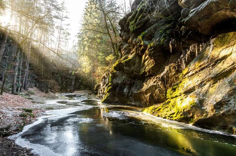 Bring a cultural enrichment to our school while exploring nature in ...