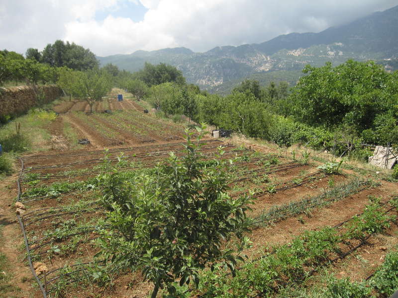 Come to the farm and create with us in the beautiful Adonis Valley, Lebanon