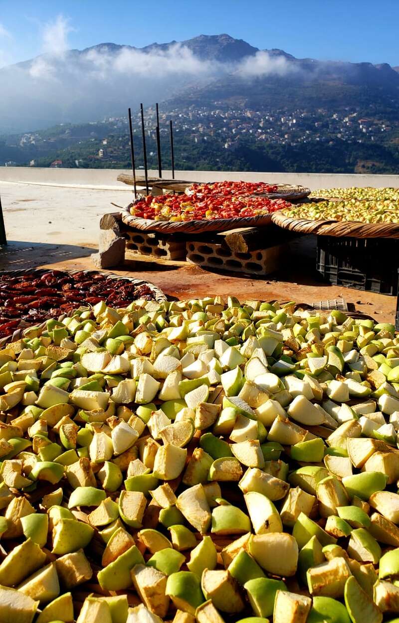 Come to the farm and create with us in the beautiful Adonis Valley, Lebanon