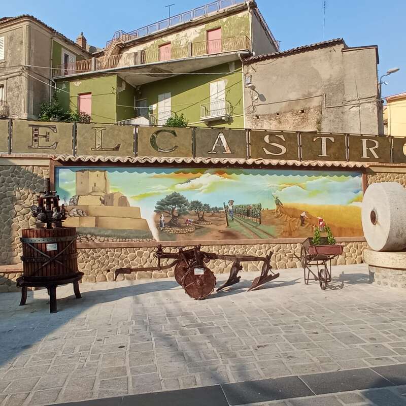 Share our family life and enjoy the beautiful countryside in Calabria ...