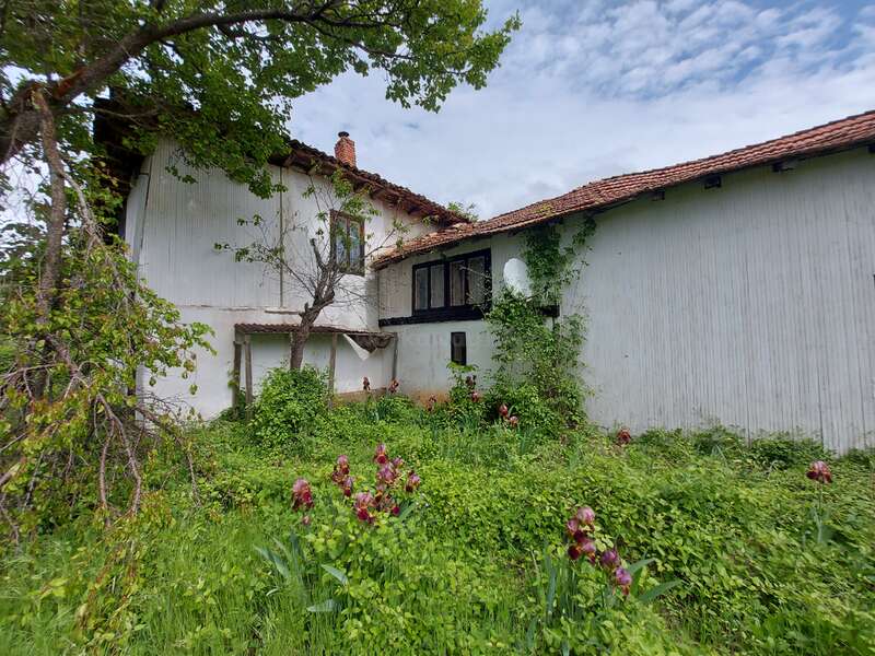 Come share our dream and enjoy the laid back life with us in Dve Mogili ...