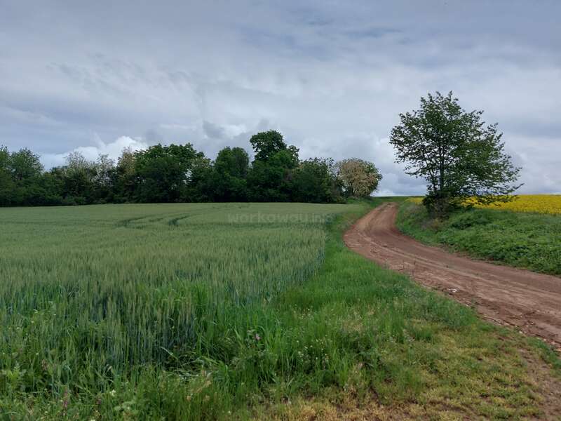 Come share our dream and enjoy the laid back life with us in Dve Mogili ...