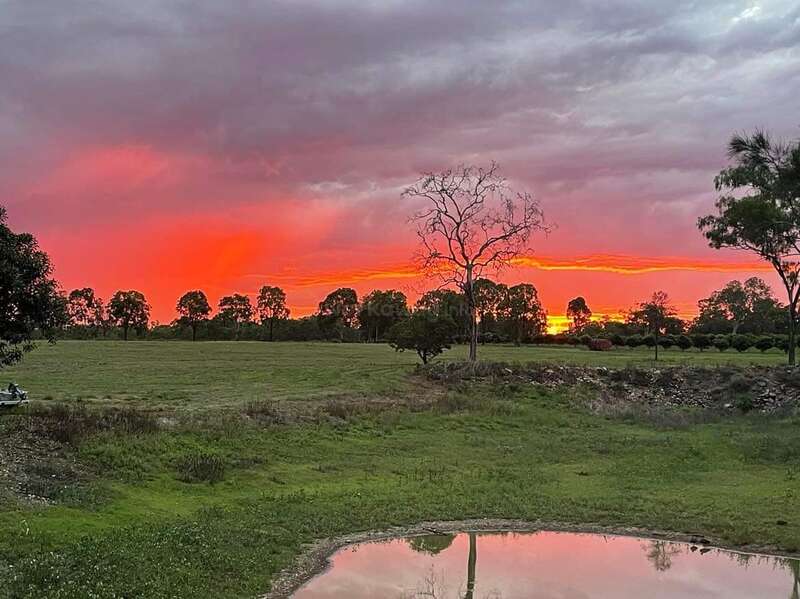 Gardening help welcome on our hobby farm in Koah, QLD, Australia