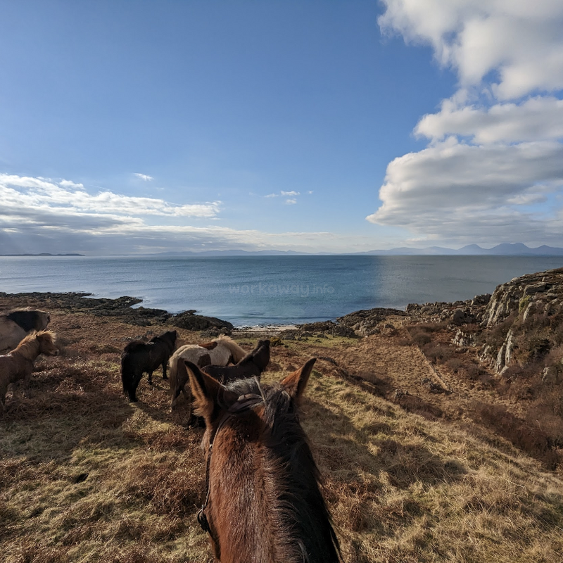 Help welcome with gorgeous children in beautiful, wild, coastal home in ...