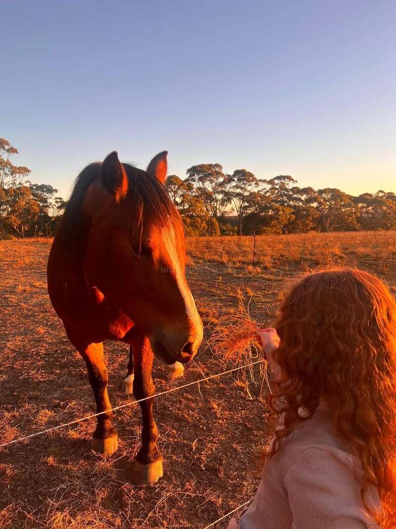 Beautiful farm stay in Adelaide Hills, Australia