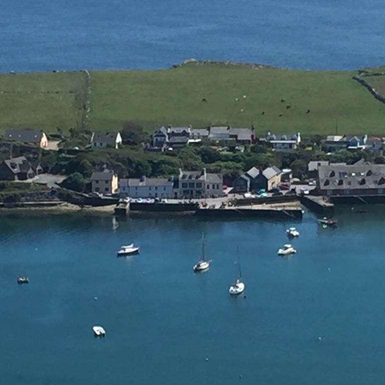 Make friends for life and help us out in the garden in spectacular ...