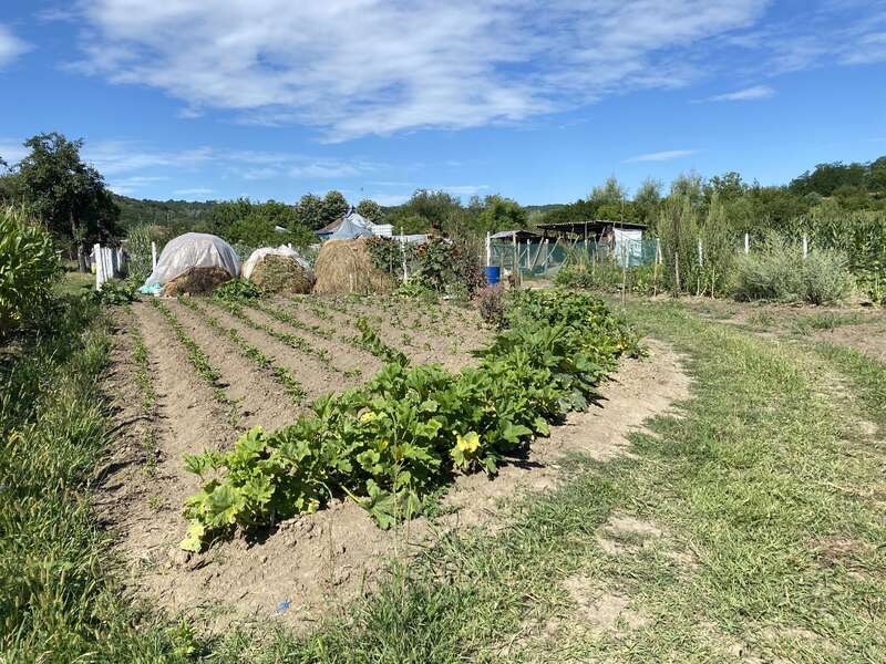 Help us build a farmstead in Creteni, Romania
