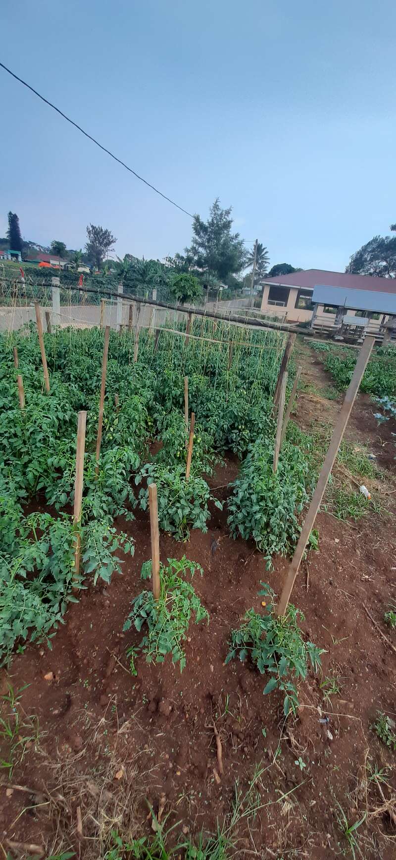 Make a difference to the communities of Kaliro, Uganda