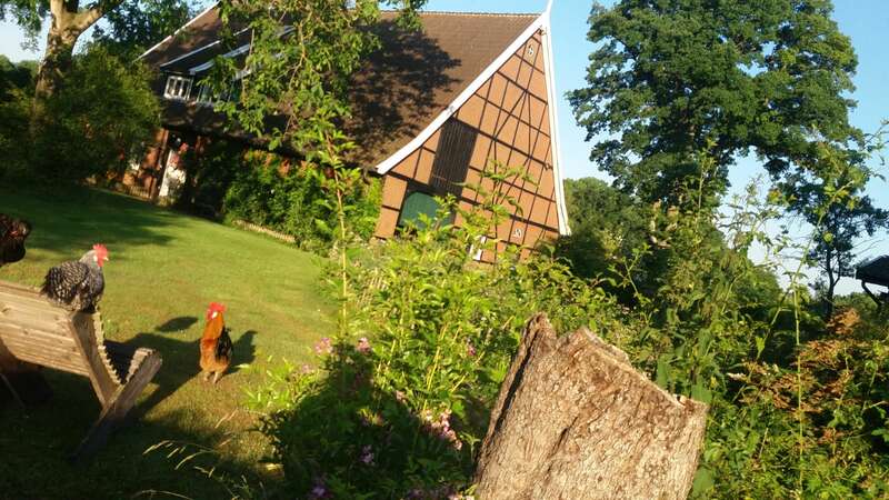 Help out on our family farm near forests and lakes close to Hamburg ...