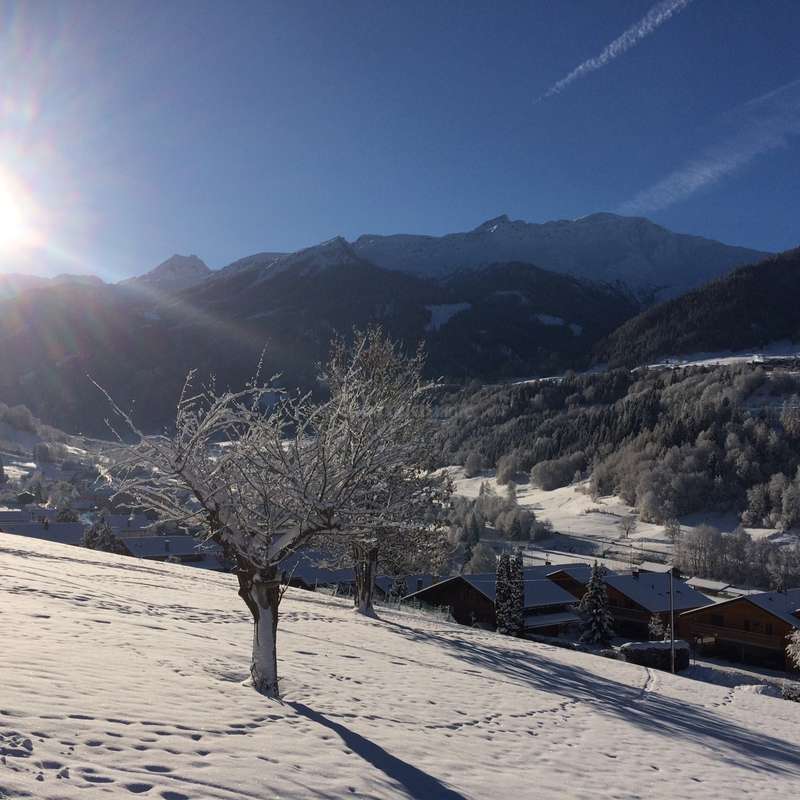 Help a family with childminding and live in the mountains of Le Châble ...