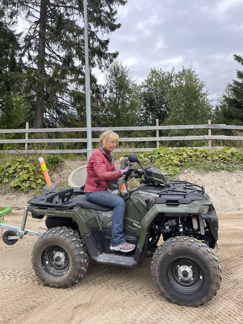 Enjoy the outdoors and help on a small hobby farm in Gåsbu, Norway