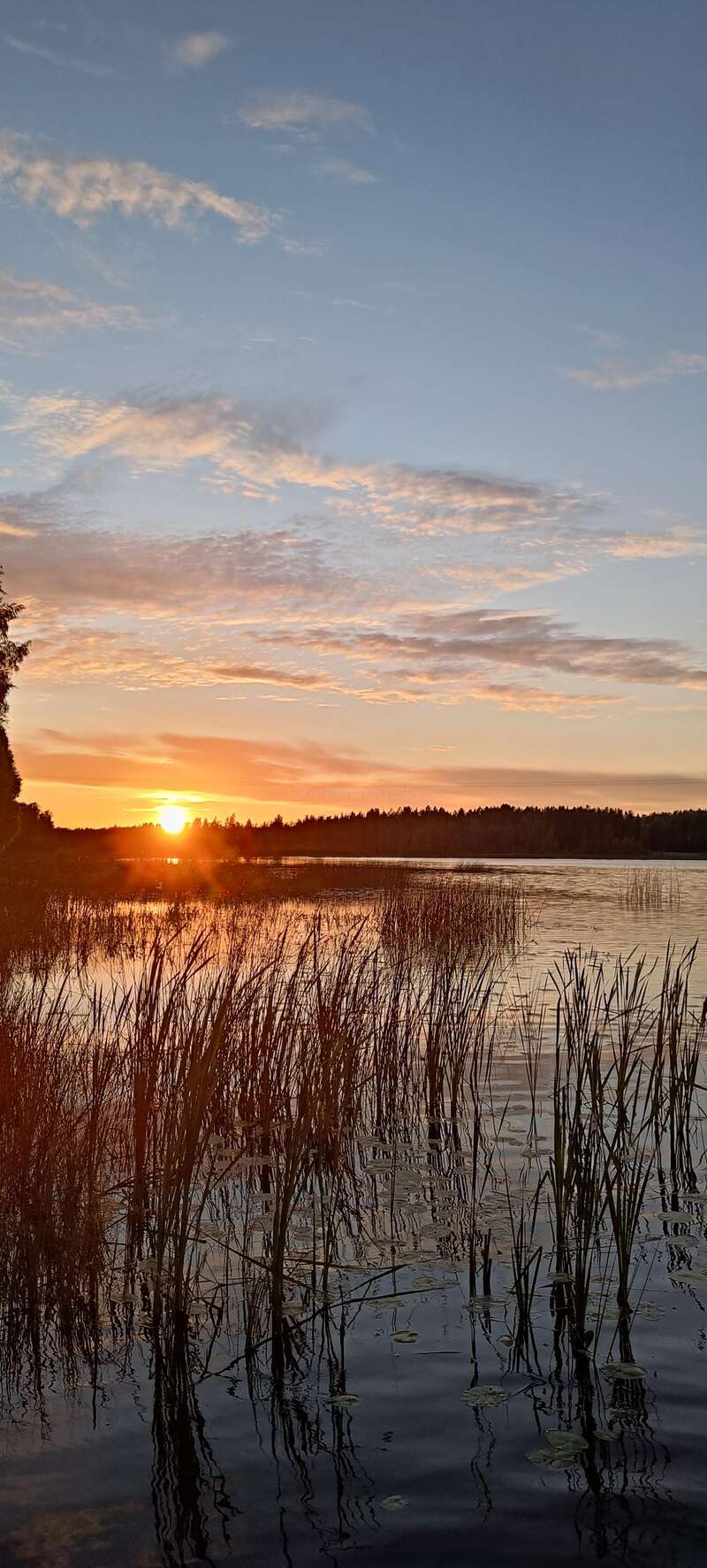 Find out why this is the happiest country, in Lavia, Finland