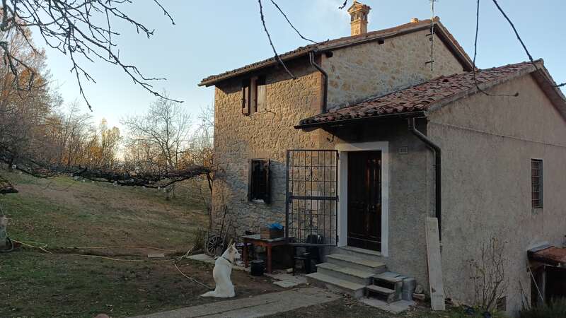 Experience farm life and help with my animals in Zocca, MO, Italy