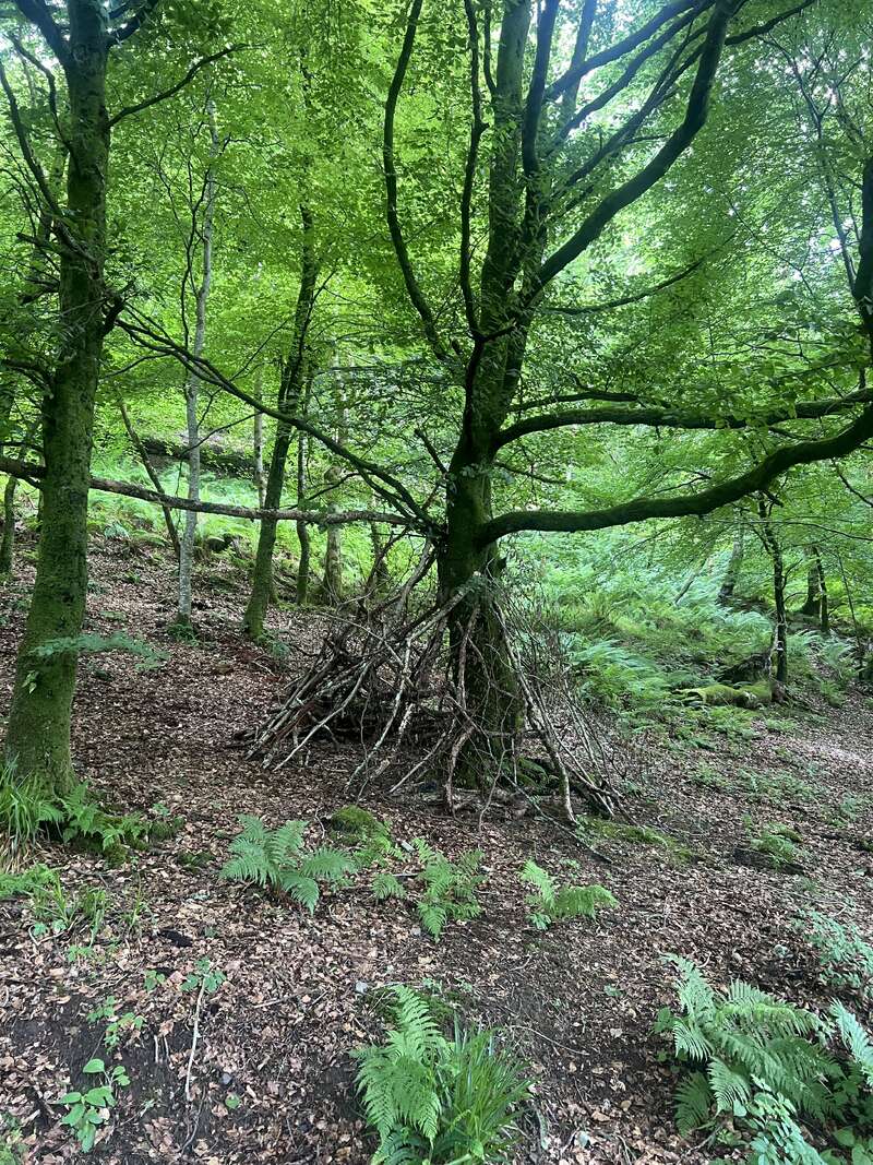 Come and look after my pets while I am away! Benderloch, Scotland, UK