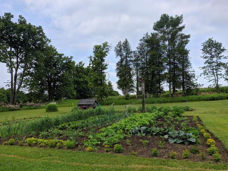 Come experience life on a beautiful, small farm in Ontario, Canada