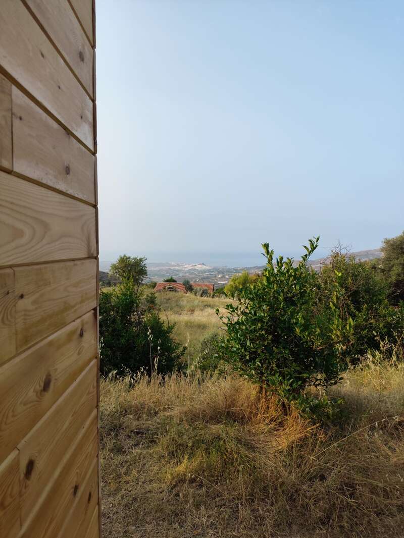 Pet sitting in Molvizar, Granada, Spain