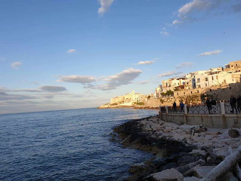 Become part of our school and enjoy and explore Apulia, Foggia, Italy