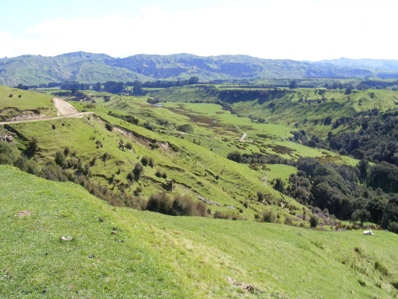 Help on our farm in the beautiful Hinakura Valley, New Zealand