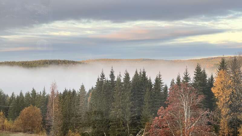 Learn about gardening and simple rural living at a cabin village in ...