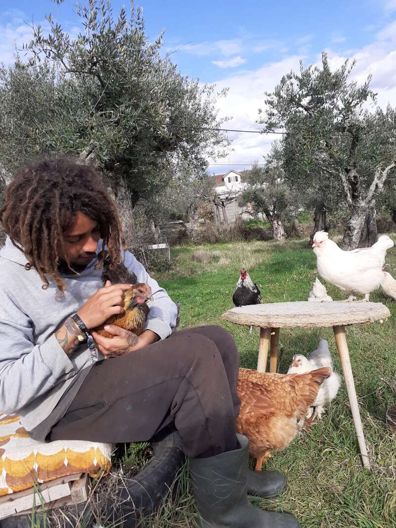 Experience a playful, creative and green community project in Coutada ...