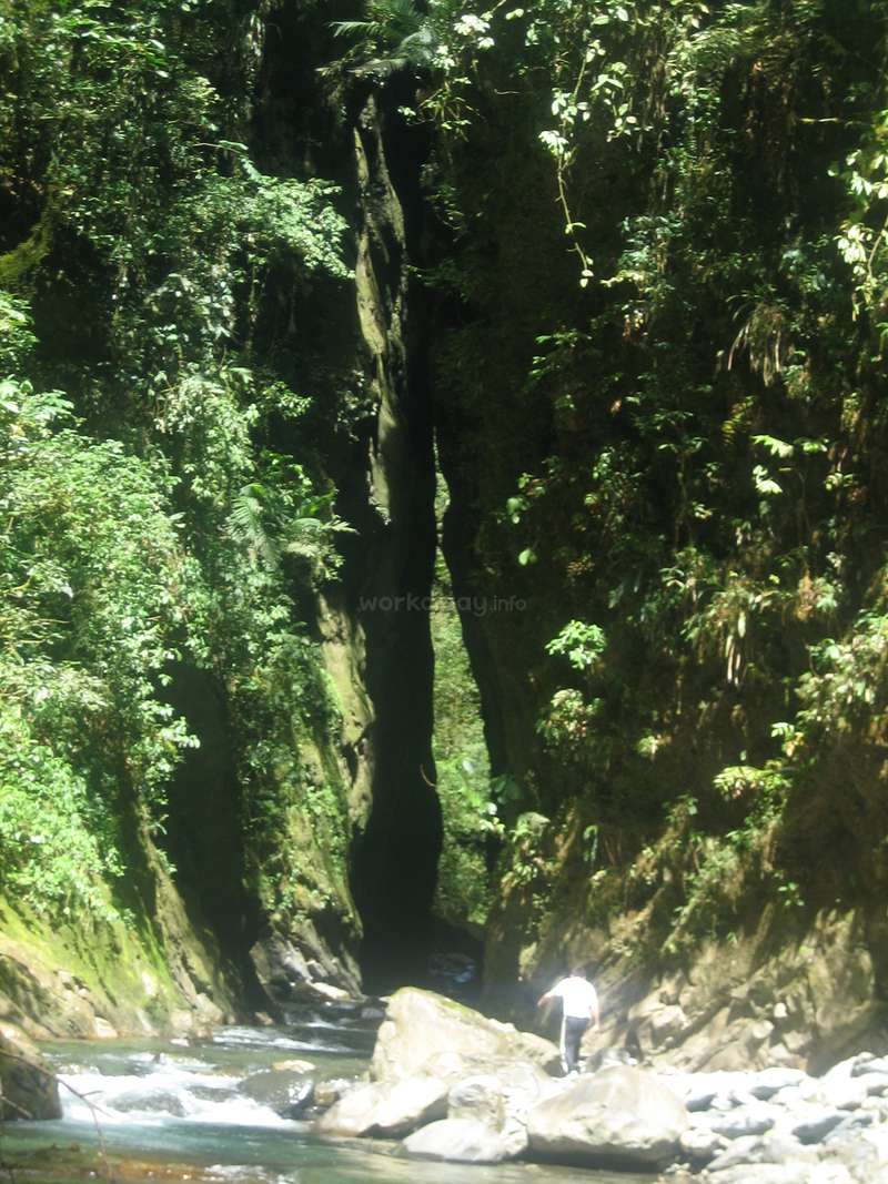 Help me with my Ecotourism project in Suapi-Nor Yungas, La Paz-Bolivia