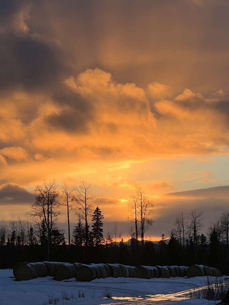 Remote off grid goat farm located in the beautiful Bulkley-Nechako ...