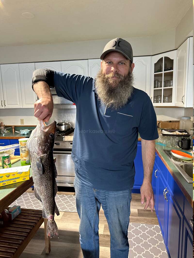 Experience remote off-grid family life in Edna Bay Alaska, USA