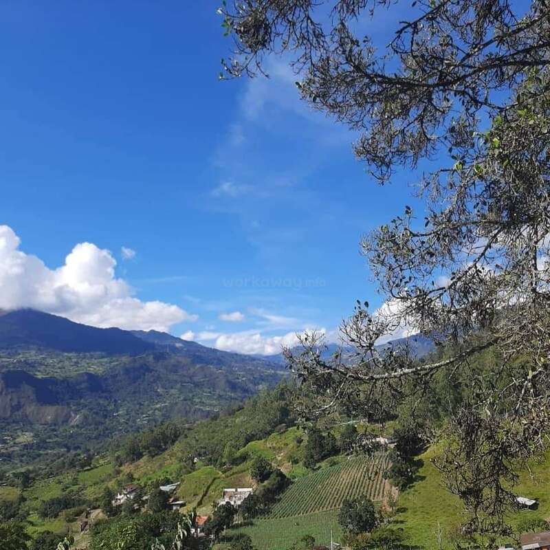 Help us with eco projects on our finca near Bogota, Colombia