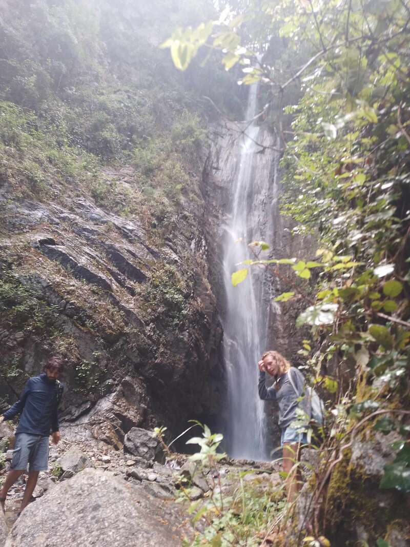 Get involved in our regenerative unicorn farm in Calabria, Italy