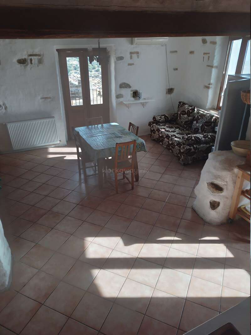 Get involved in our regenerative unicorn farm in Calabria, Italy