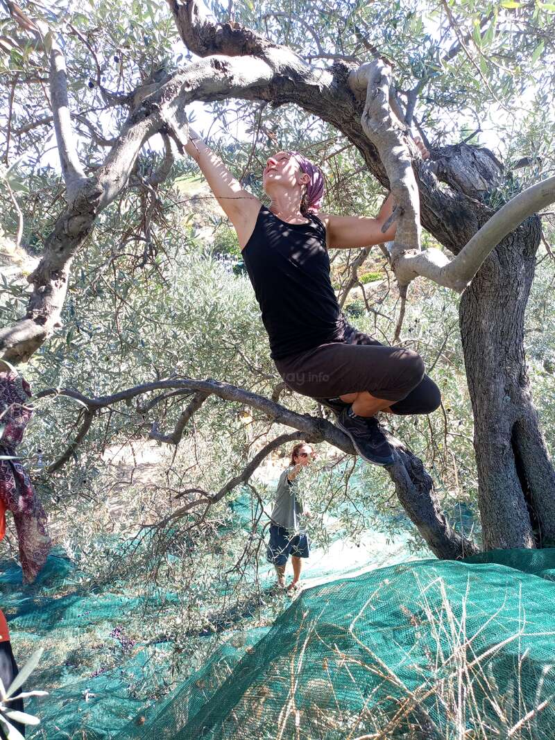 Get involved in our regenerative unicorn farm in Calabria, Italy