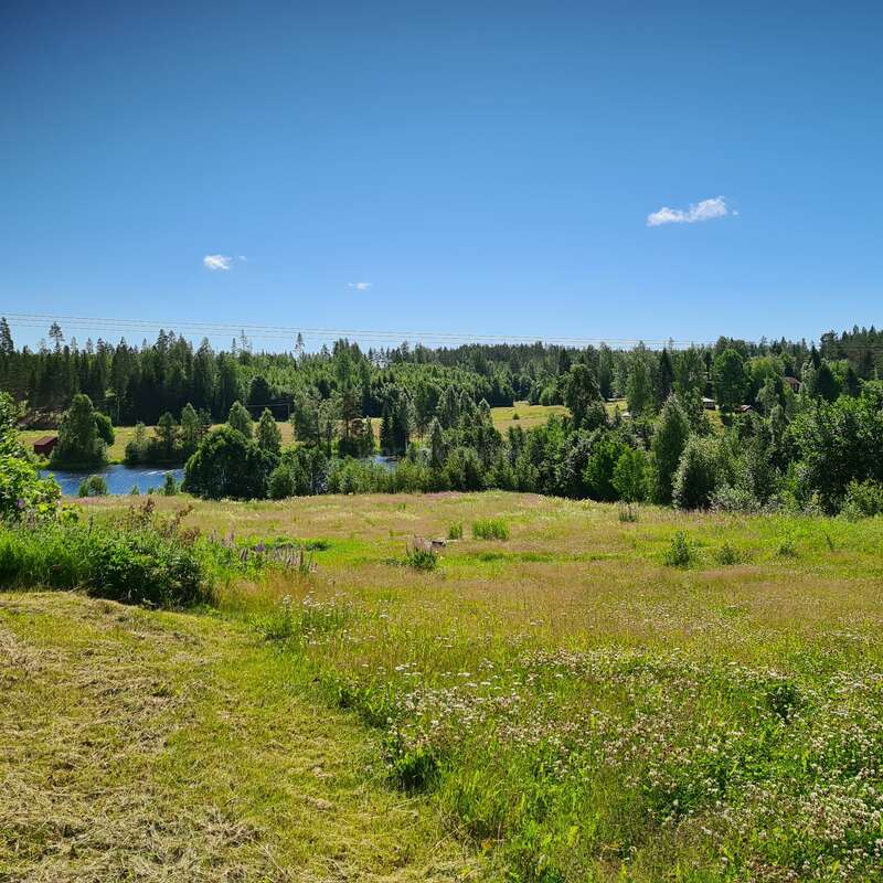 Help our family create a good homestead in Husum, Sweden
