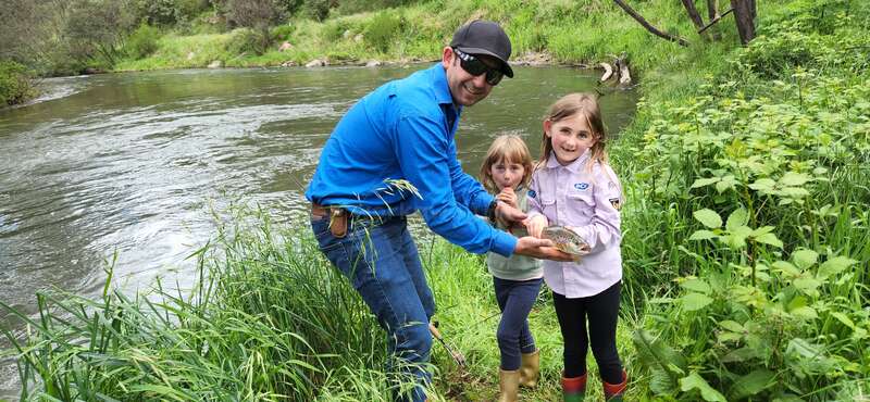 Experience our way of life and help around our farm house in Dargo ...