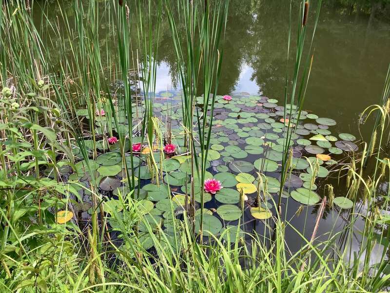 Experience life surrounded by nature in Sainte-Anne-de-la-Rochelle, Canada