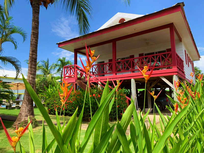 Stay in my stylish Boho-minimalist beach house in Jaco, Costa Rica