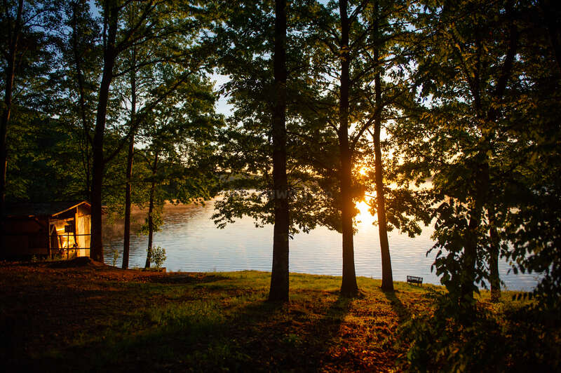 Help on a cabin near Lake Surduc, Romania