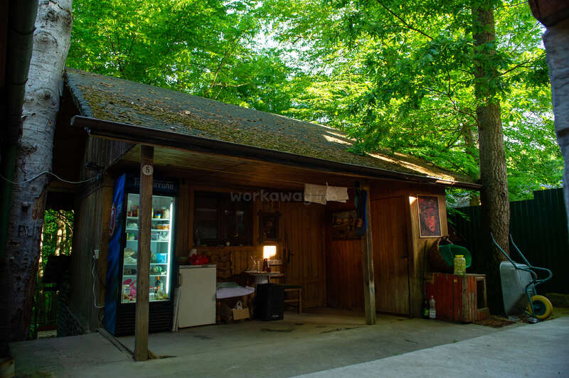 Help on a cabin near Lake Surduc, Romania