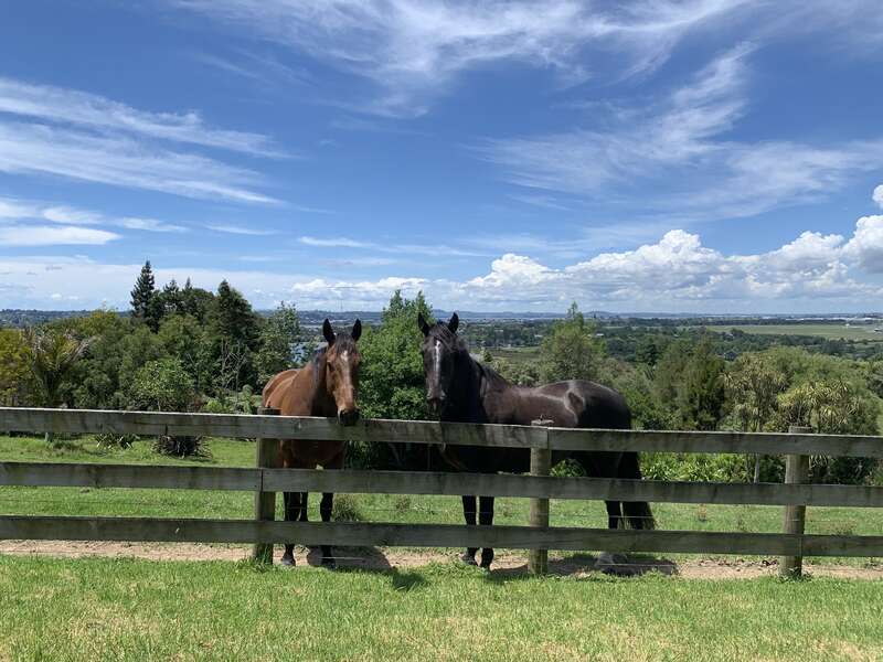 Experience rural living and help on our countryside property near ...