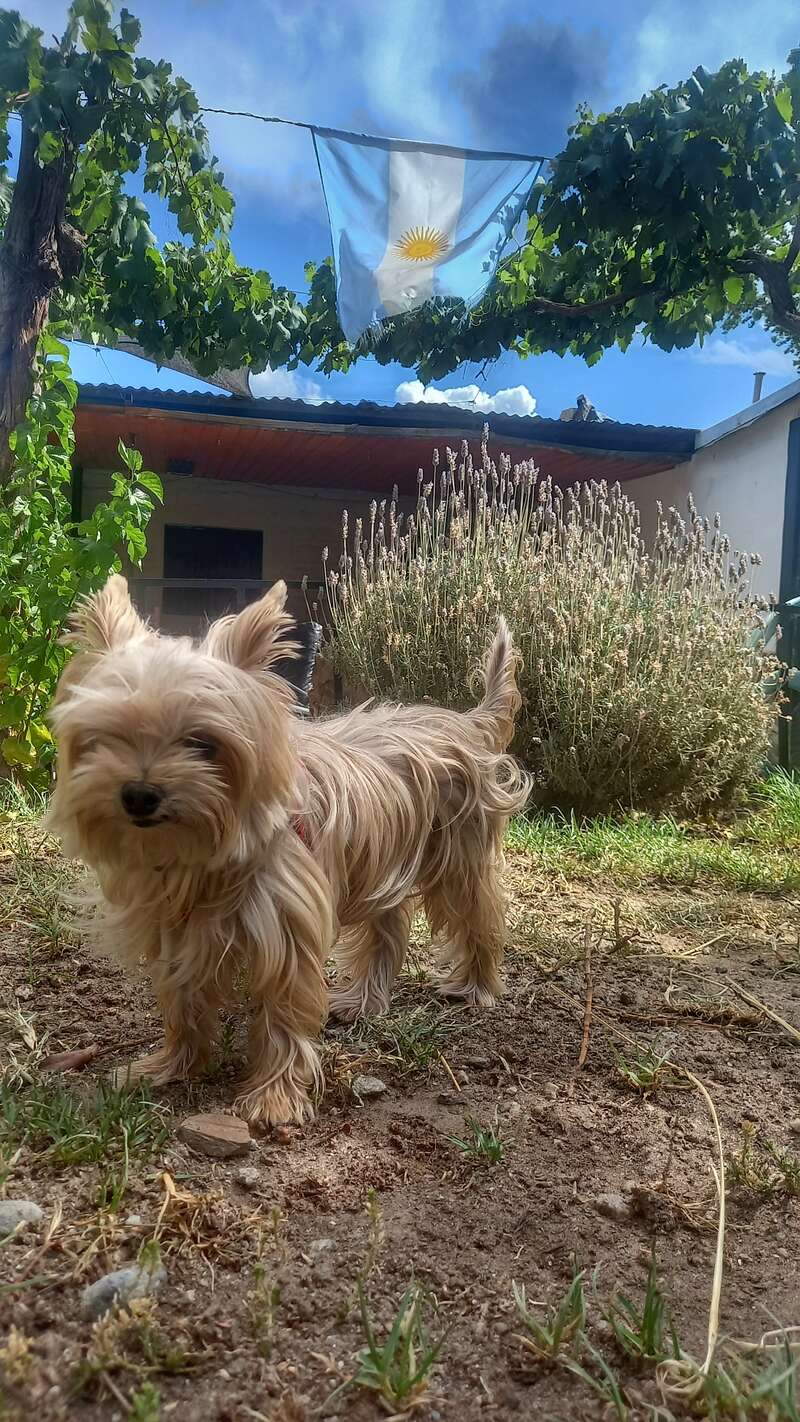 Help in the best hostel with mountain views in Cafayate, north Argentina