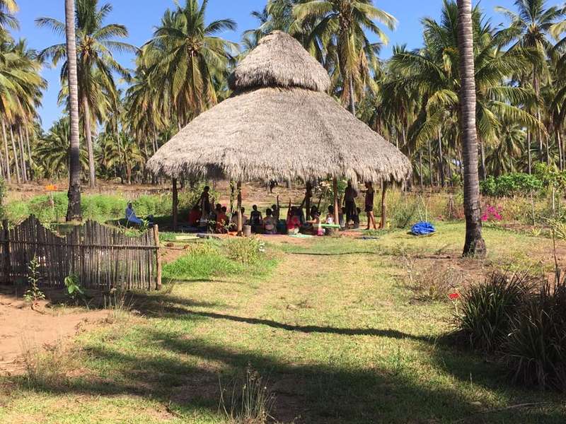 Volunteering in bio-construction & permaculture in Sinaloa, Mexico