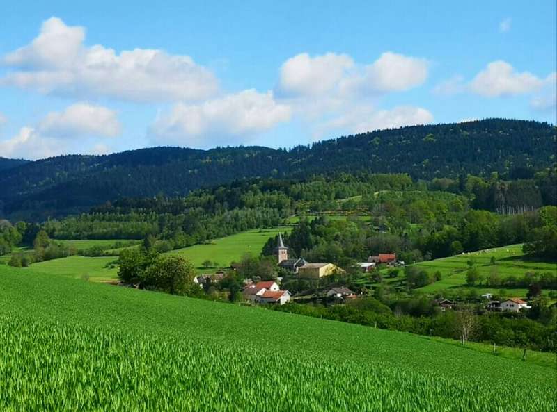 Lend a hand on an old farm built in 1743 near Vosges, France
